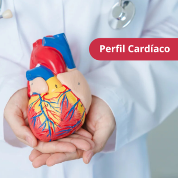 Perfil Cardíaco - Laboratorio Clínico Fernández